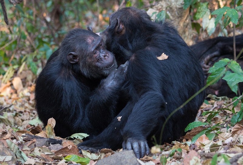 Deodorant Changed the Ecosystem of North Carolina Armpits - North ...