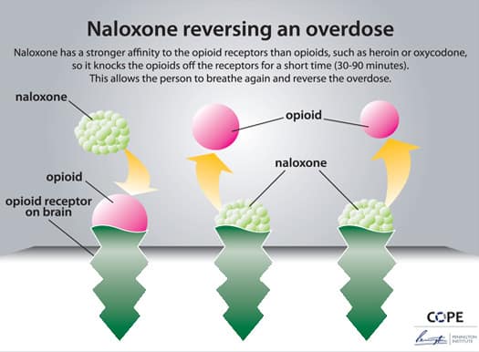 how-naloxone-works - North Carolina Health News