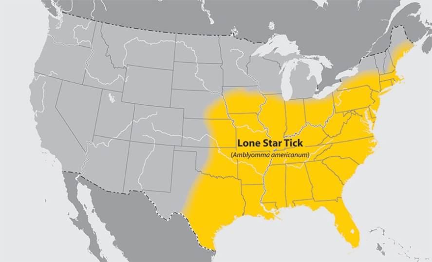 A new perspective on NC tick-borne illnesses - NC Health News