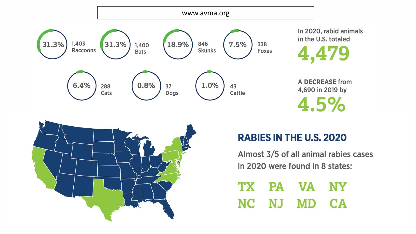 Top states for animal rabies cases, 2020 - North Carolina Health News
